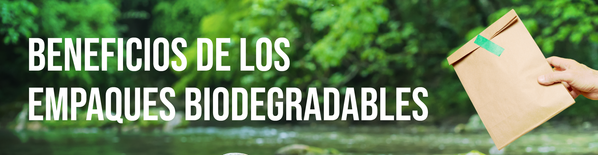 ¿Qué es un material biodegradable? | Beneficios y sostenibilidad